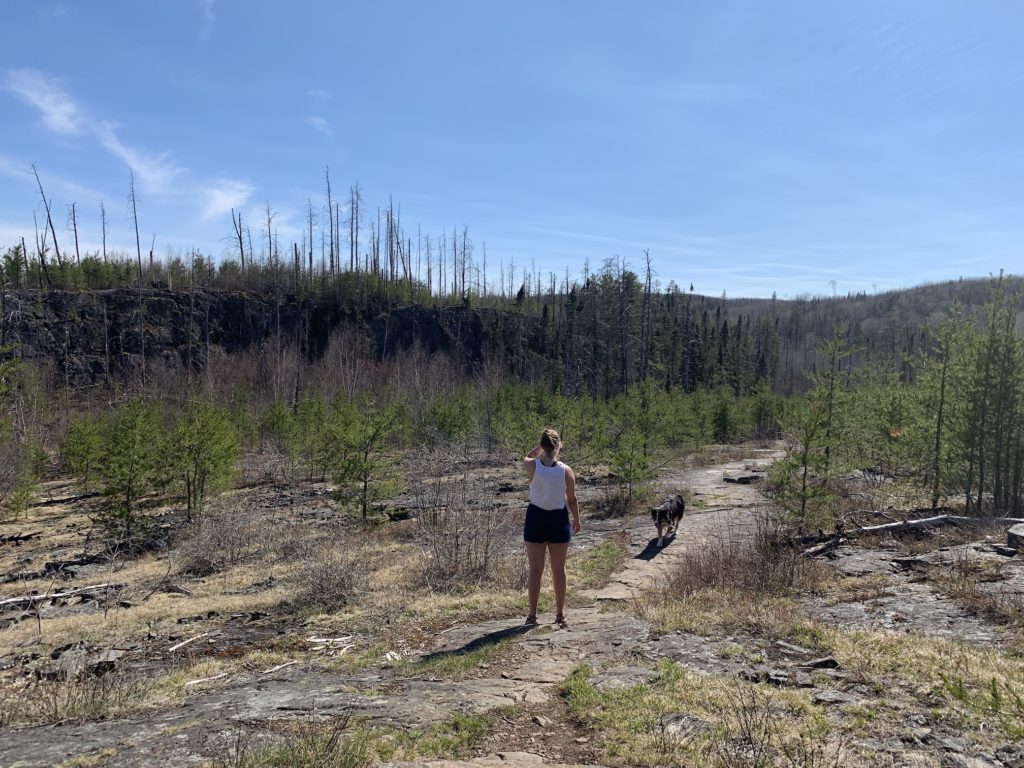 Hiking the Magnetic Rock Trail on the Gunflint Trail – Boundary Waters Blog